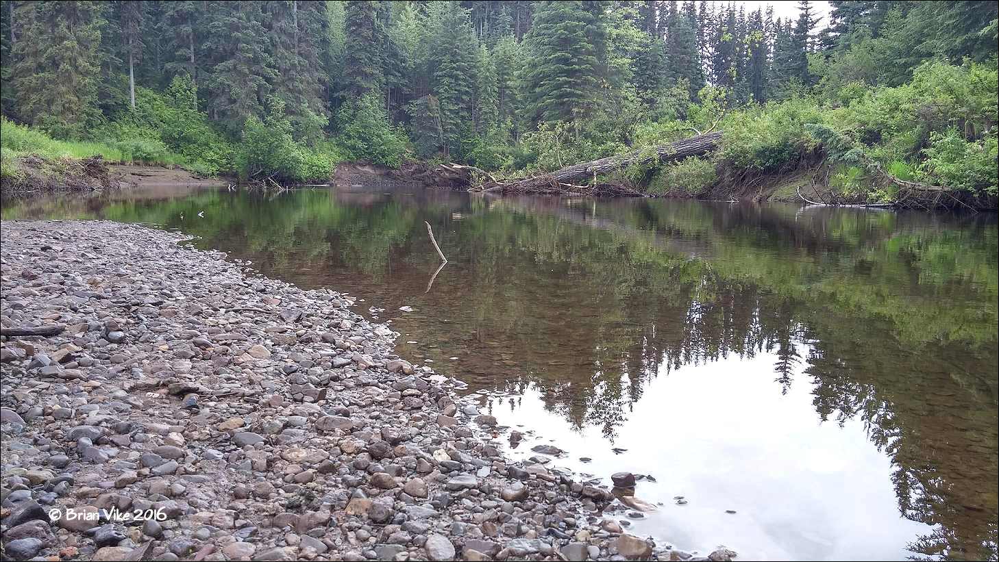 Northern Interior British Columbia: My Bulkley River 3 Houston British ...