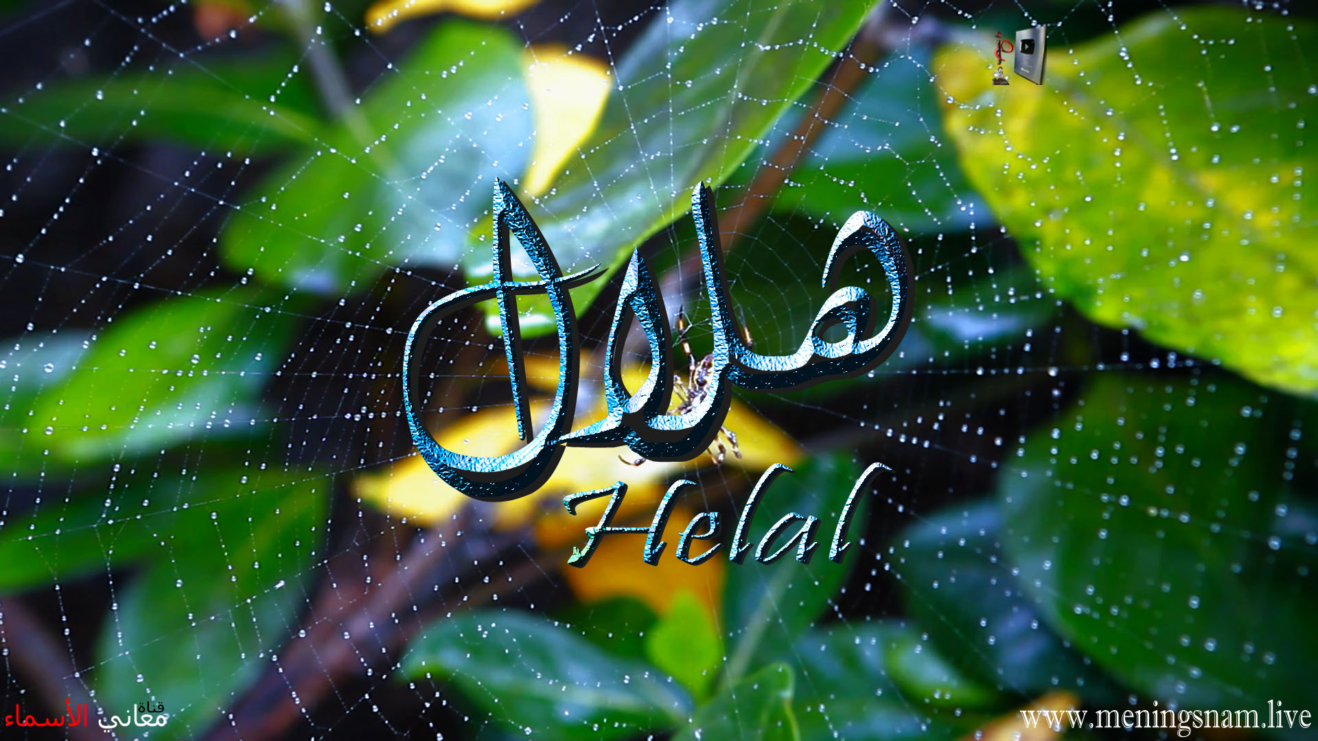 معنى اسم هلال وصفات حامل هذا الاسم Helal - معاني الأسماء ومعاني الكلمات ...