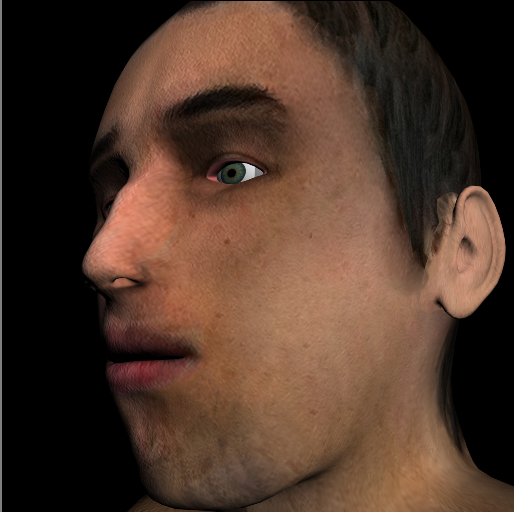 Virtual Environments: Modelling My Face - Bump Mapping