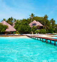 Travel Maldives: Agriculture and Manufacturing field in maldives:
