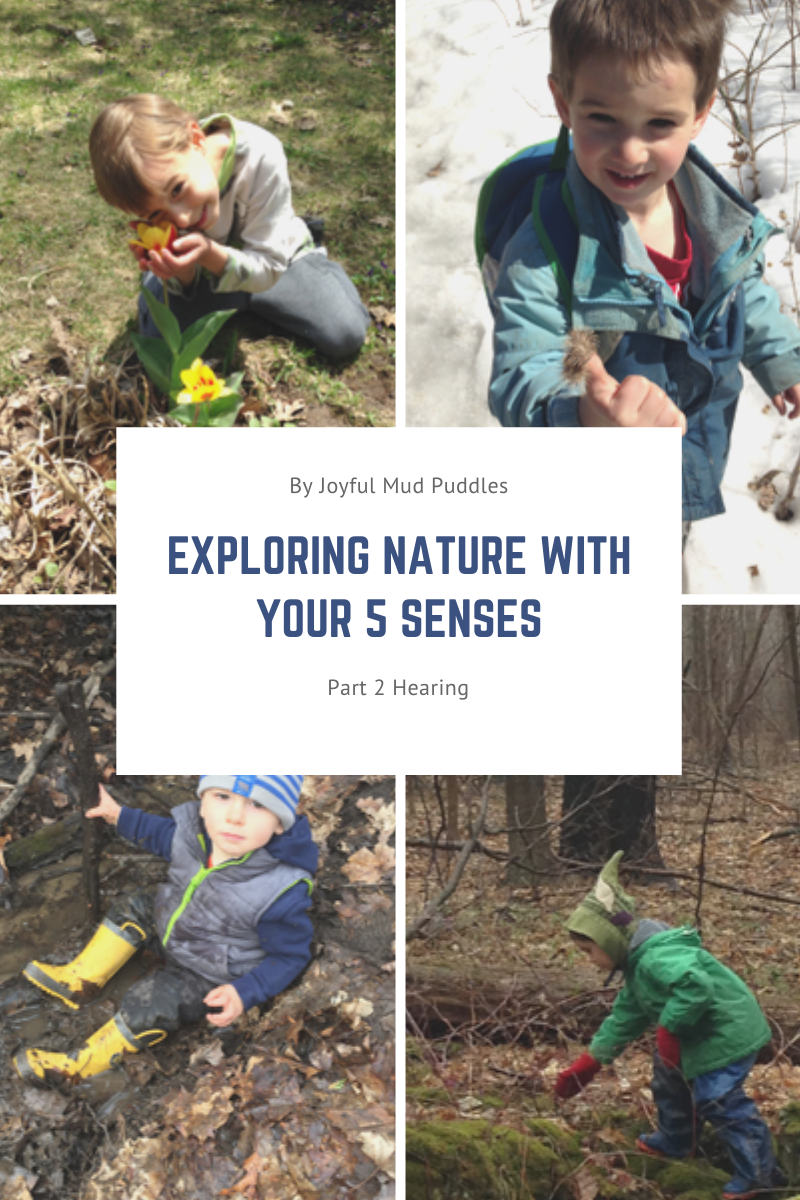 Exploring Nature with your 5 Senses (Part 2 Hearing)