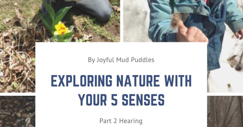 Exploring Nature with your 5 Senses (Part 2 Hearing)