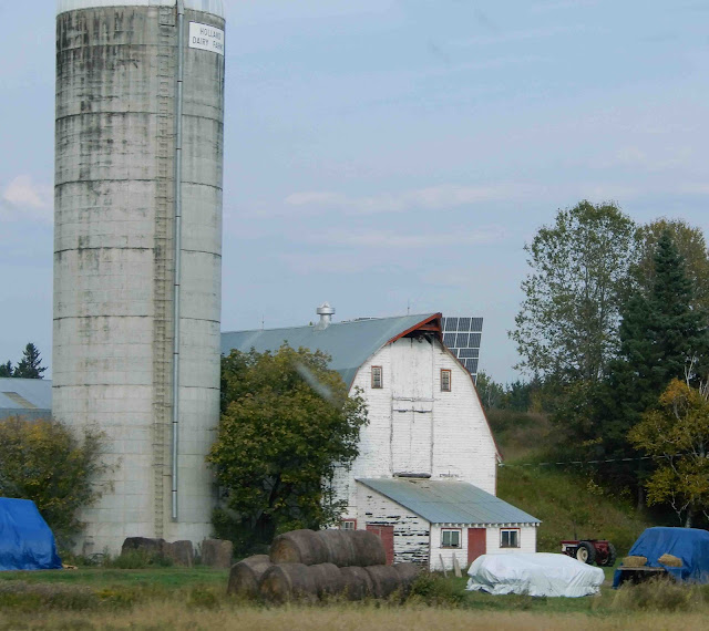 Cat Patches: Thunder Bay, Ontario, Canada