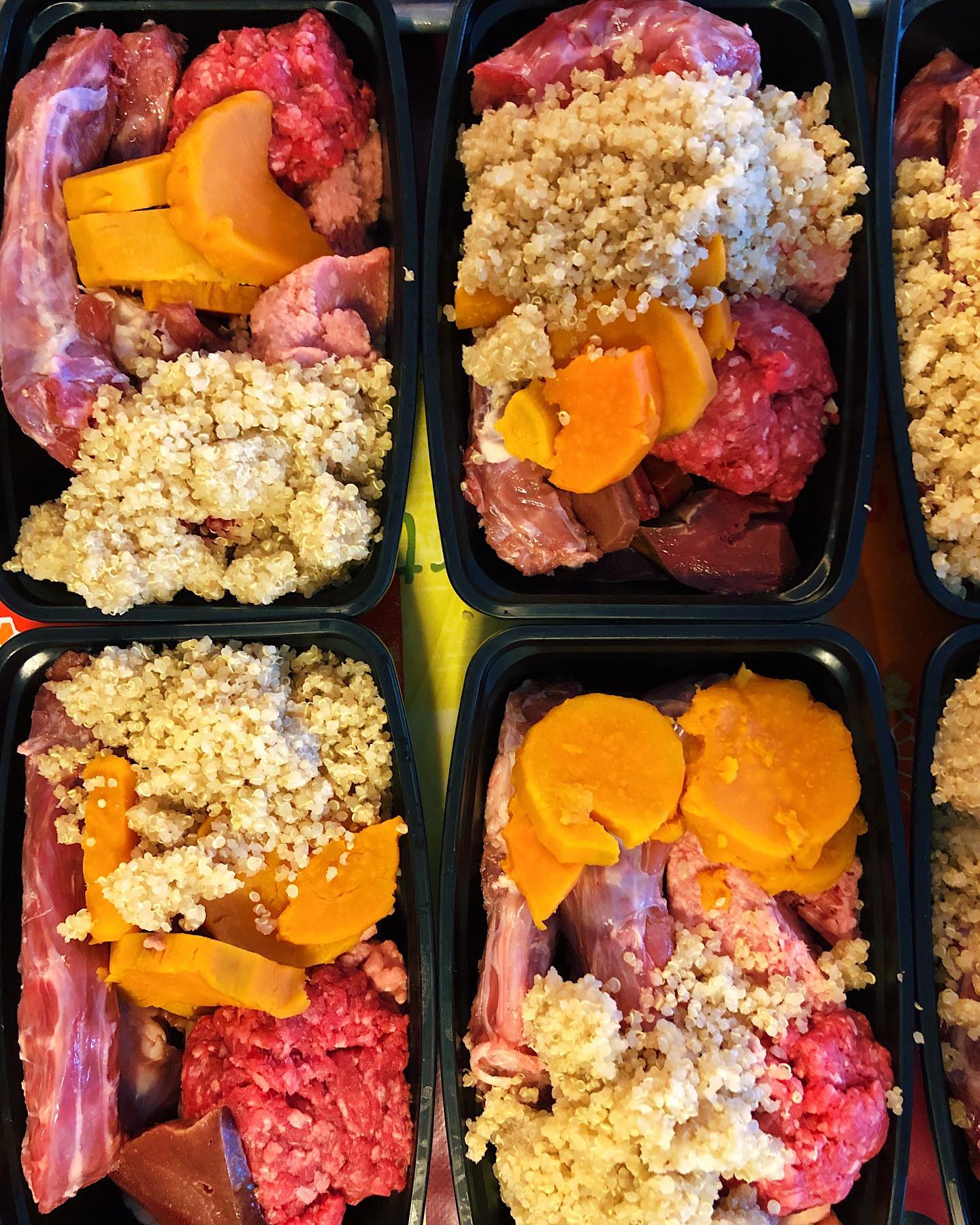 March 2021 Meal Prep | Hannah Ra