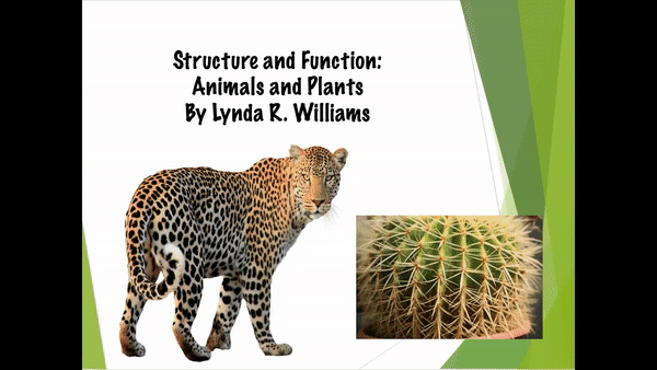 Adaptation Of Plants And Animals