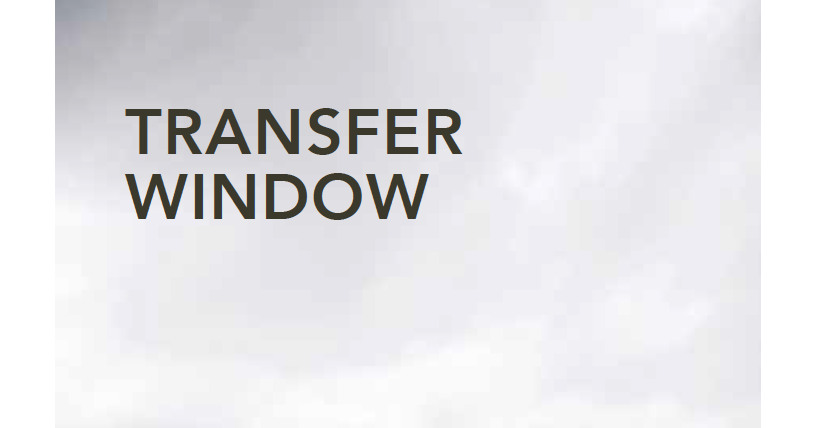 Book Review - Transfer Window