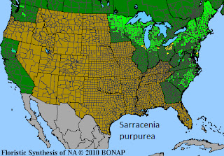 Restoring The Landscape With Native Plants: BONAP: Biota of North ...