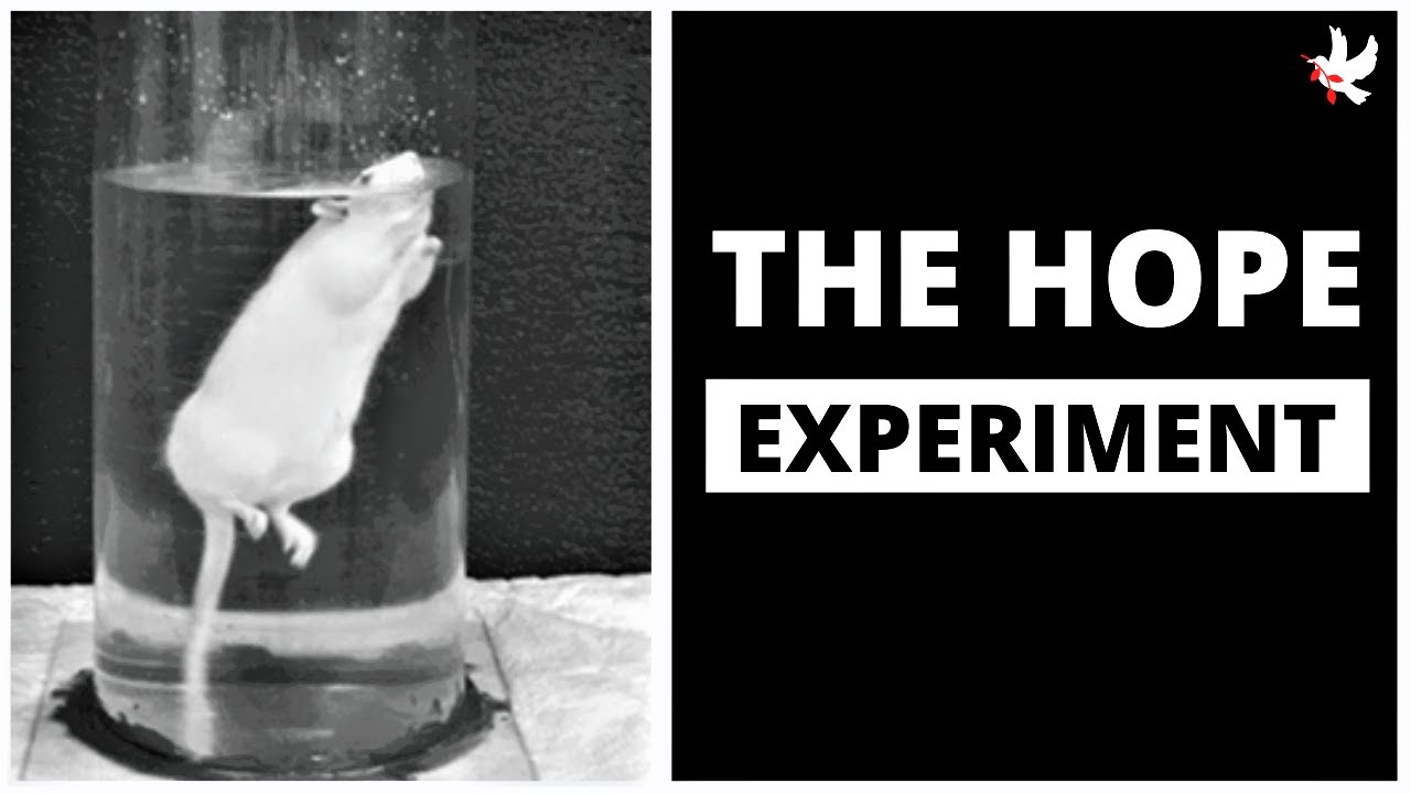 Δελτίο των 11: ΤΟ ΠΕΙΡΑΜΑ ΜΕ ΤΟΥΣ ΠΝΙΓΜΕΝΟΥΣ ΑΡΟΥΡΑΙΟΥΣ στο ...