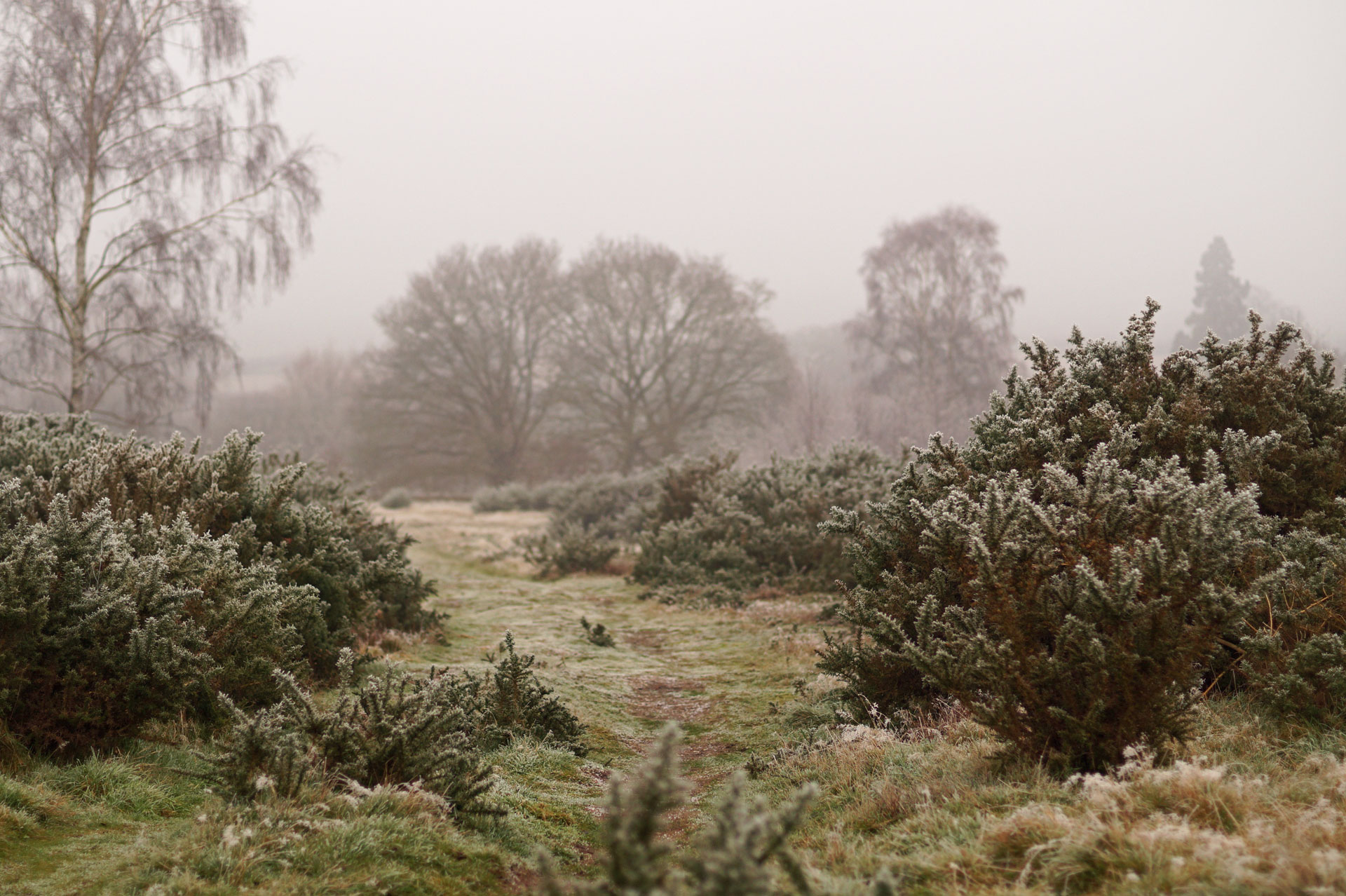 Frost pocket - Sophie in the Sticks
