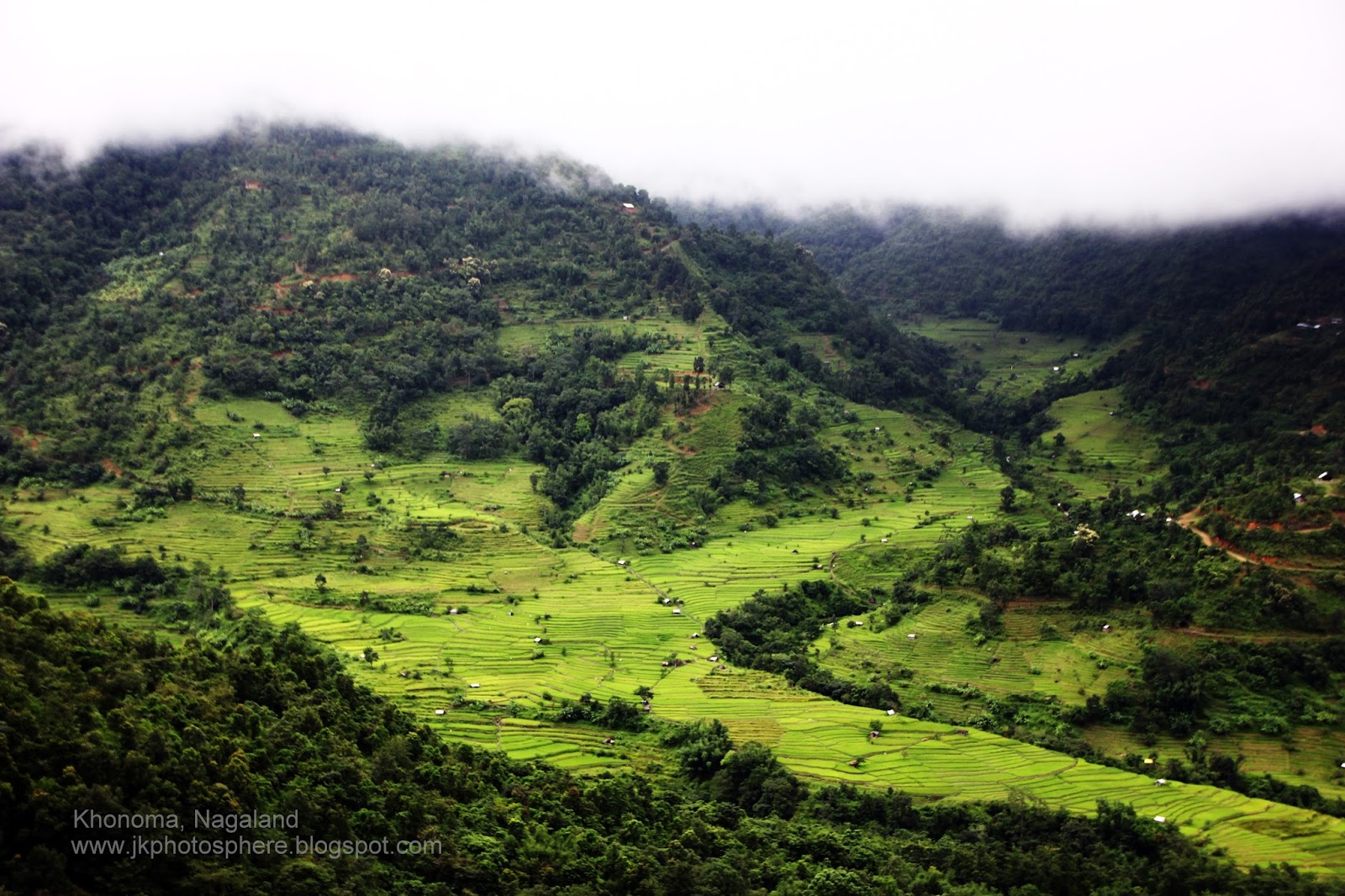 This Stunning Village In Nagaland Never Cuts Trees And Doesn't Allow ...