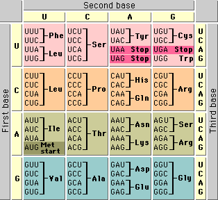 Catatan prestasi Guru Biologi: KODE GENETIK DAN KODON