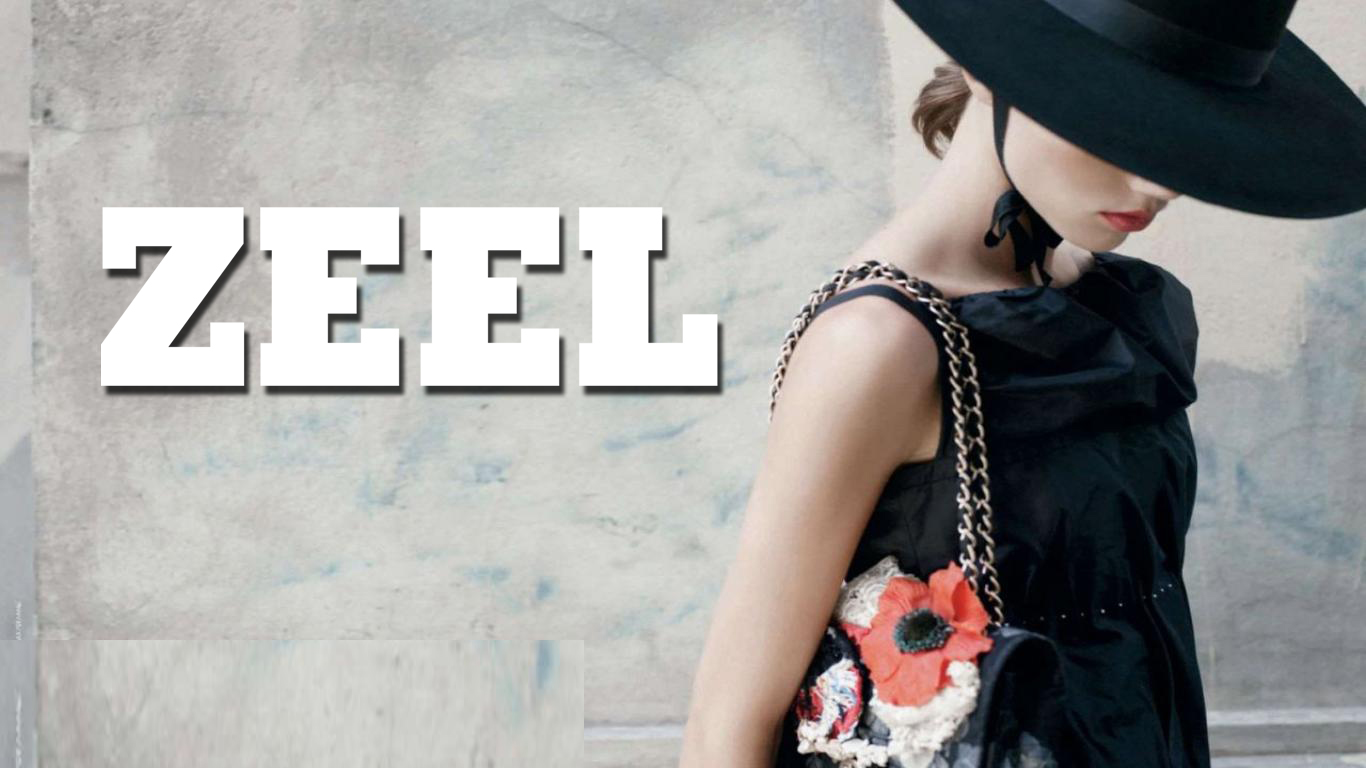 Zeel Pakistan: Zeel Pakistan