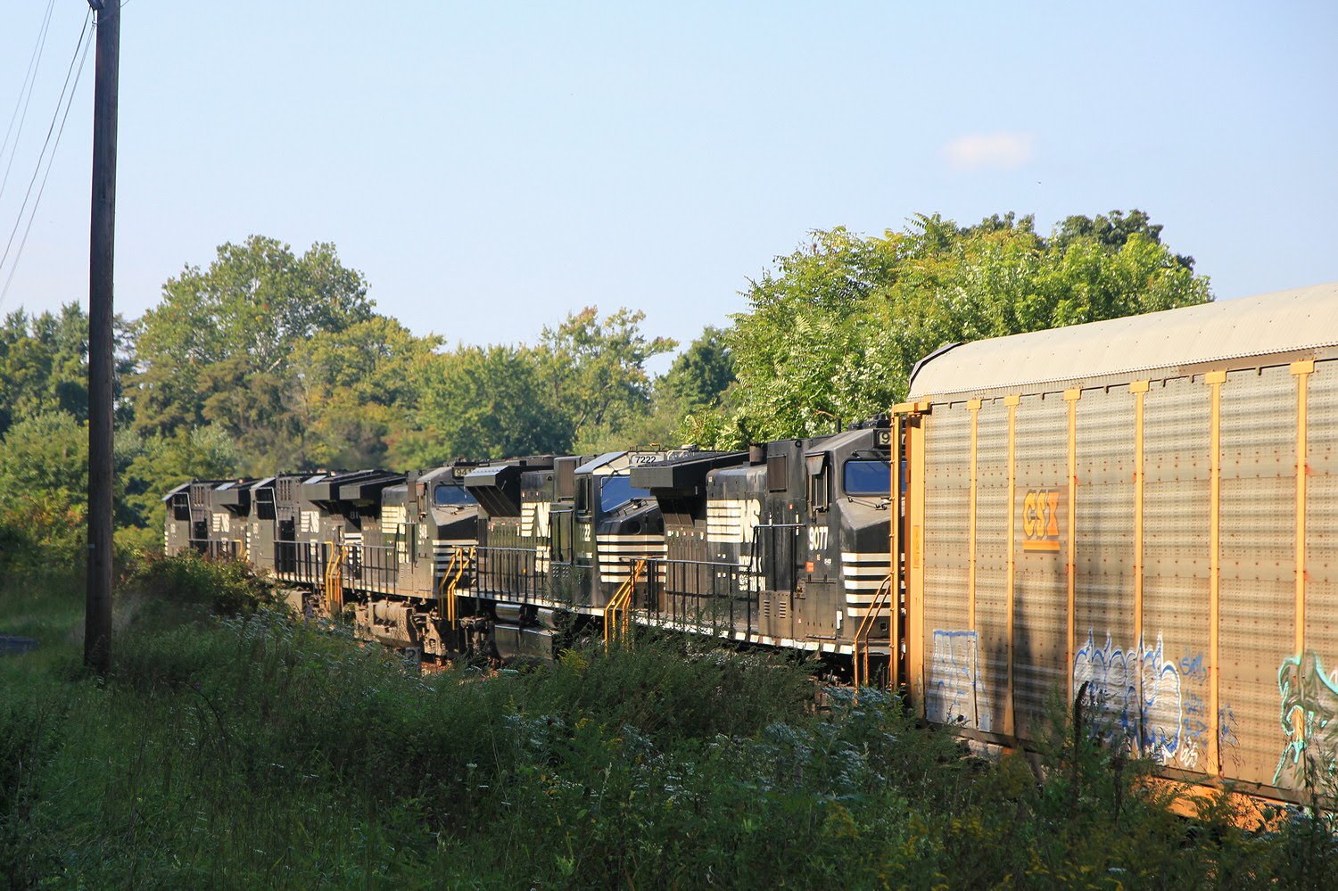 Jersey Mike's Rail Adventures: 17-09-16 PHOTOS: Buffalo Line