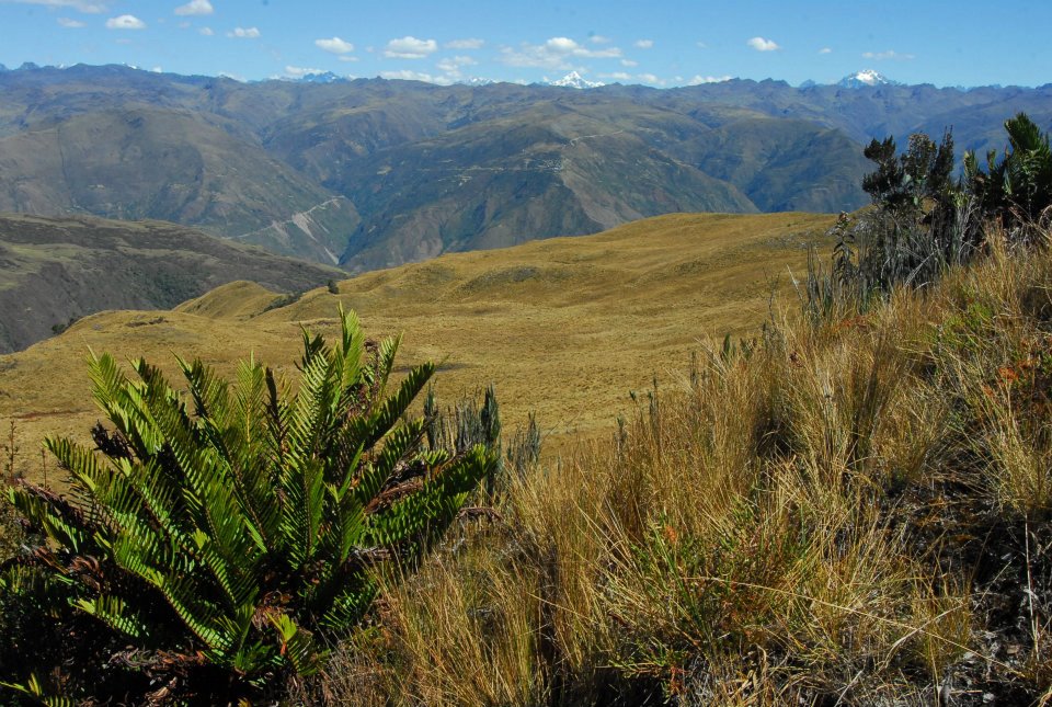 Parque Nacional del Manu
