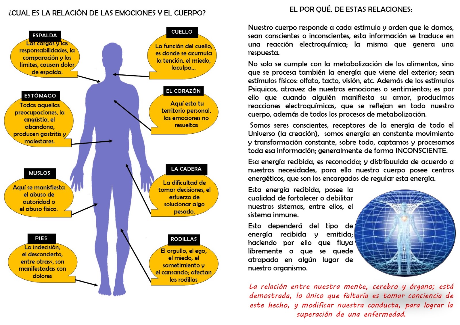 FORMACIÓN EMOCIONAL: Mis Emociones y El cuerpo