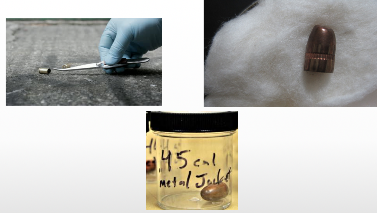 All About Forensic & Investigative Sciences: Physical Evidences in ...