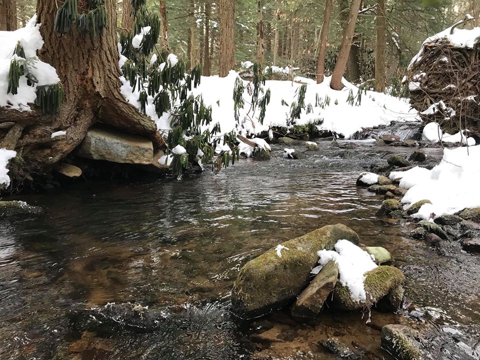 Fly Tyer Mike: "Blue Line Like a Beast" Next Level Small Stream Fly ...
