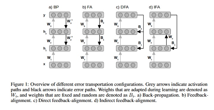 Nuit Blanche: Direct Feedback Alignment Provides Learning in Deep ...