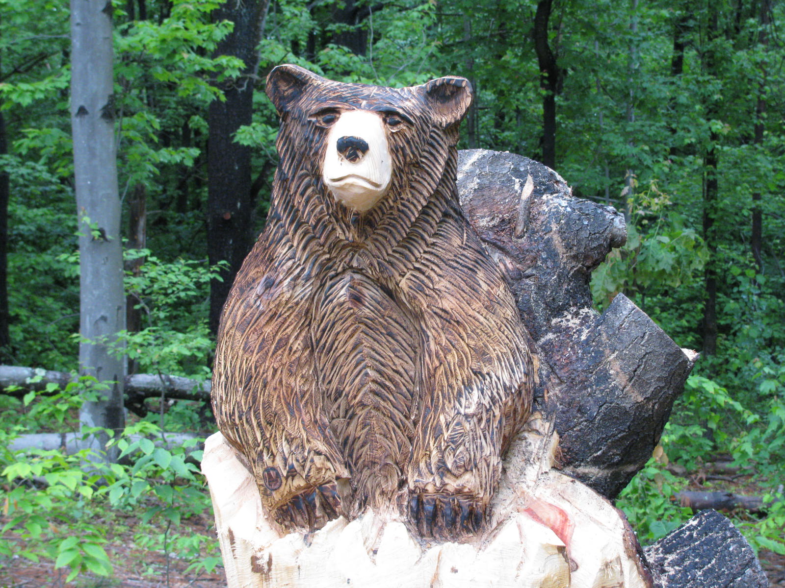 The new LittleTractor home | Page 6 | My Tractor Forum