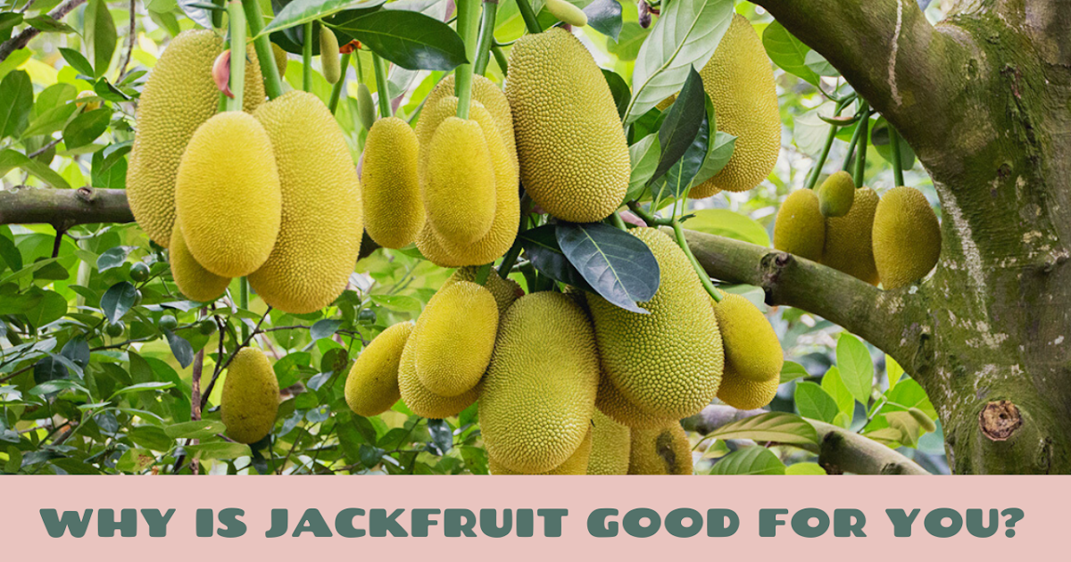 Why Is Jackfruit Good for You?
