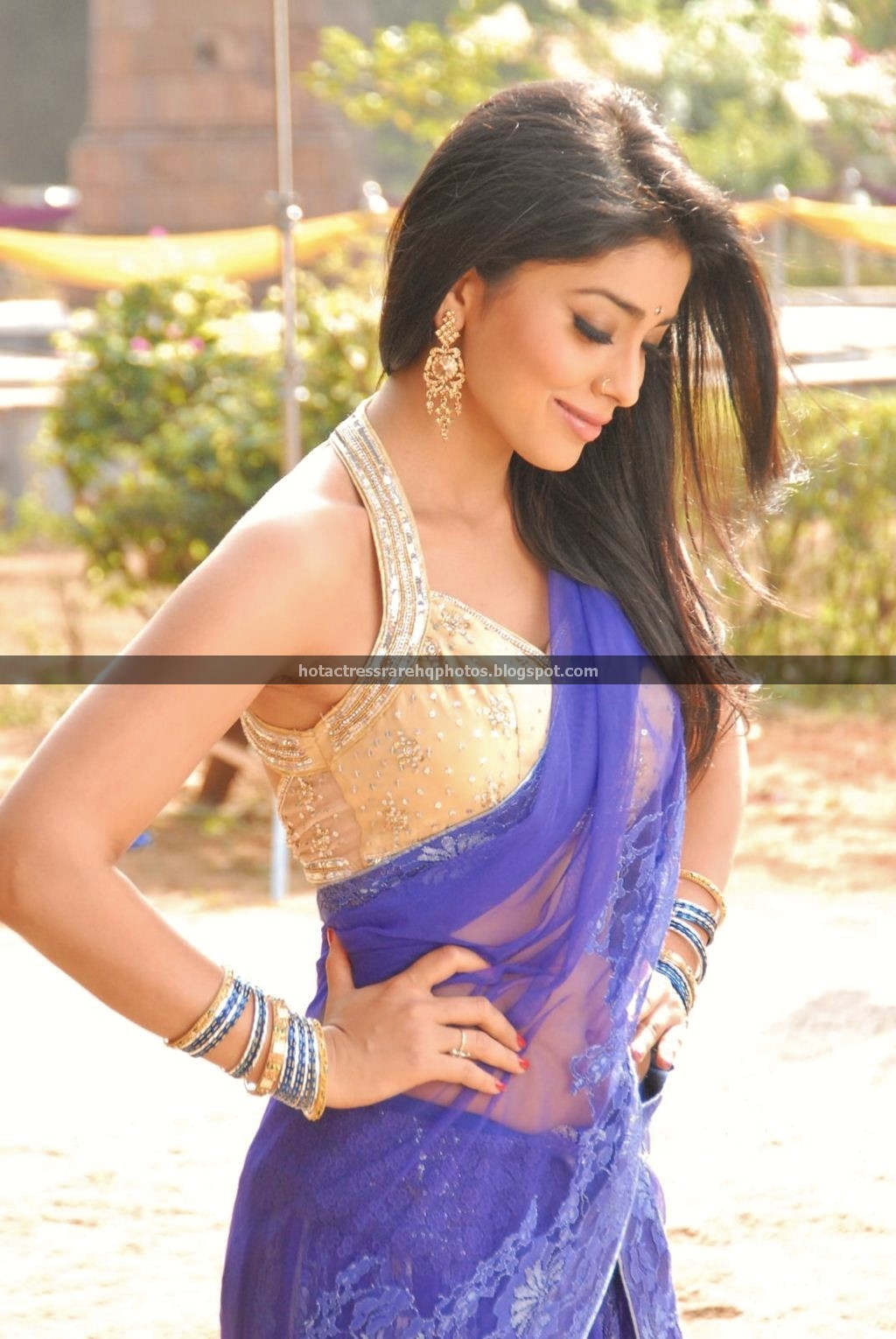 Shriya Saran Hot Navel Images Actress Hot Photos