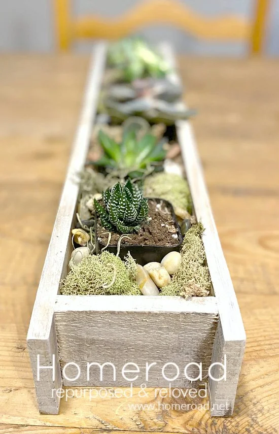 How to Make a Rustic Succulent Garden