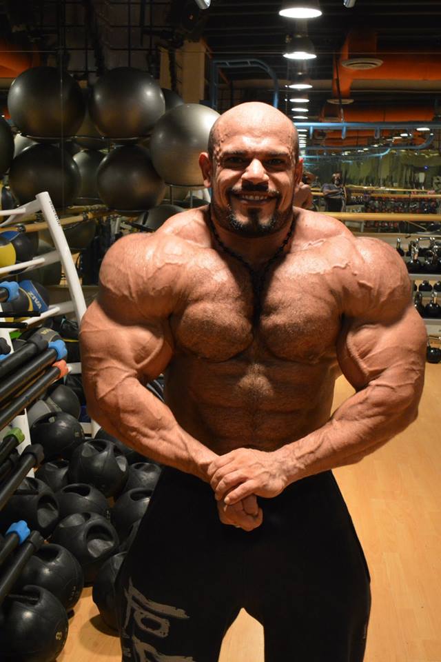 Muscle Lover: Egyptian IFBB Pro bodybuilder Ibrahim Fahim