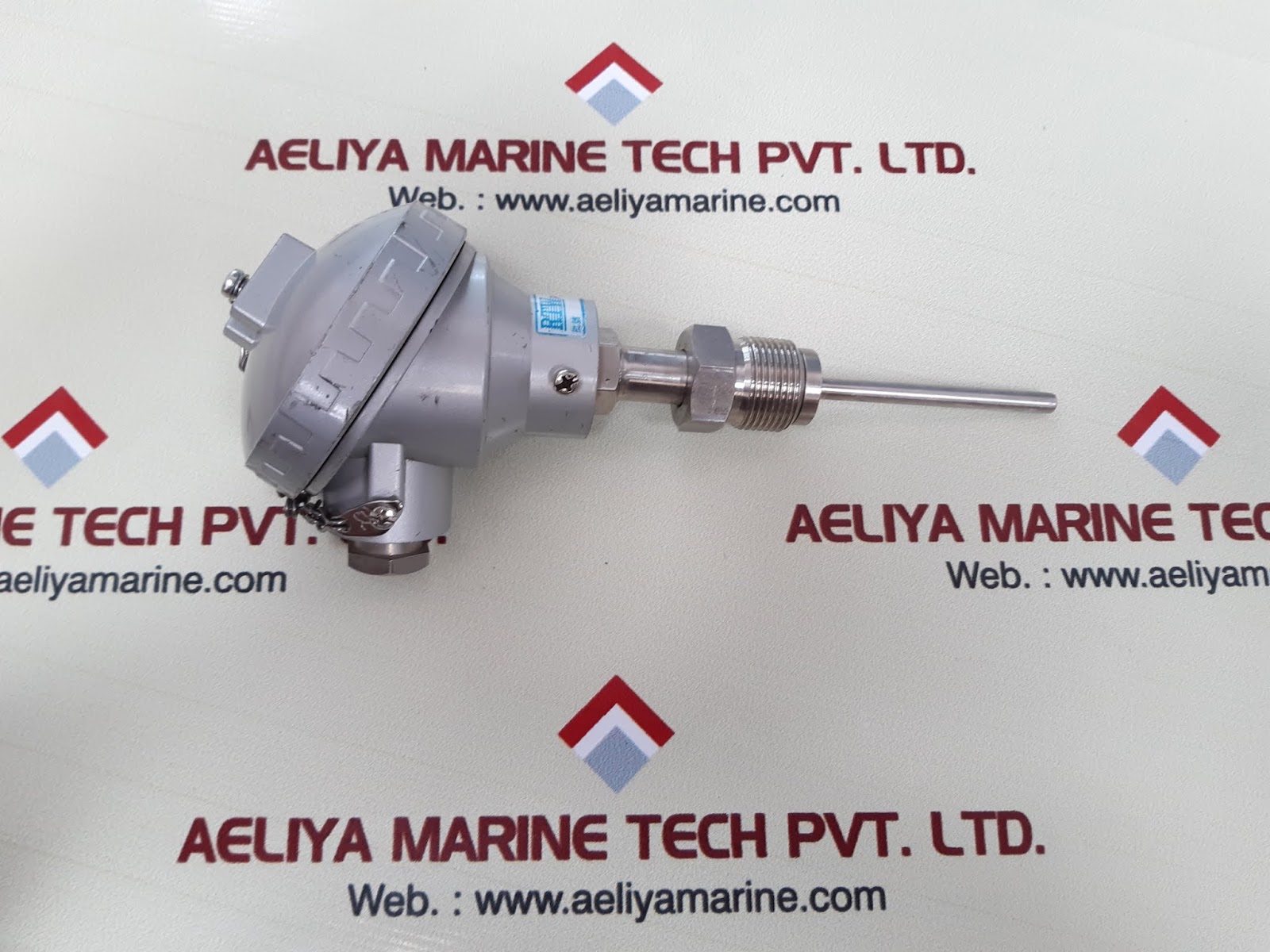 RTW PT100 TEMPERATURE SENSOR - Aeliya Marine