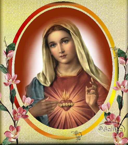 Santa María, Madre de Dios y Madre nuestra: Imágenes Corazón de María