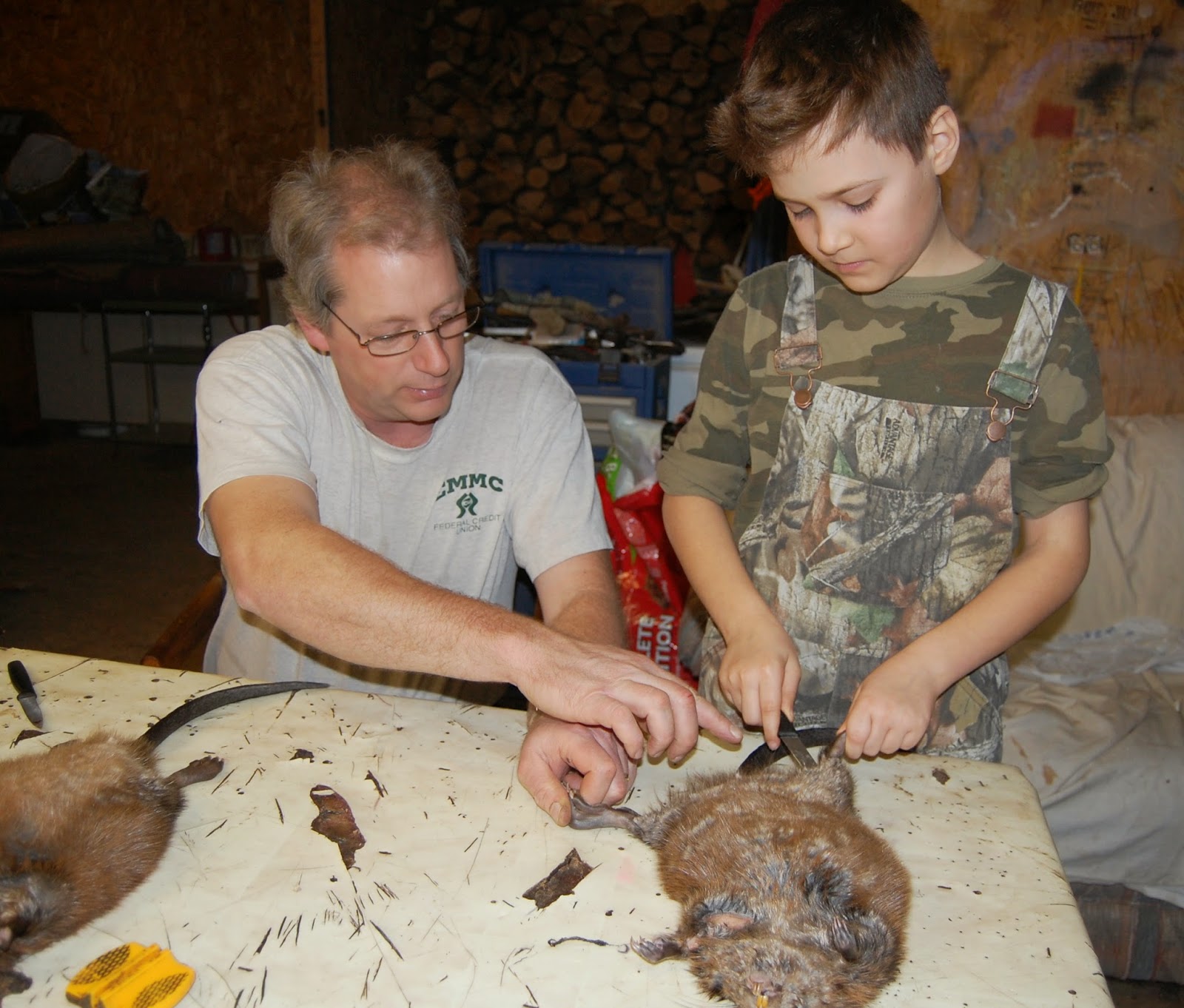 Carmel Hillbillies: Muskrat Trapping in Maine ~An Outdoors, Maine Post!
