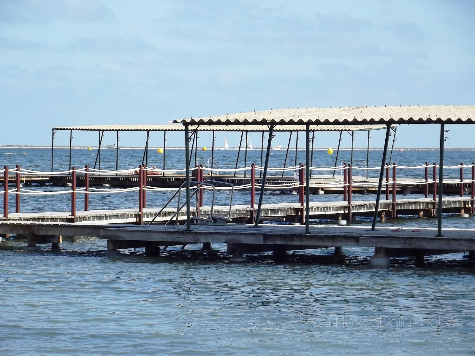 MurciaDailyPhoto: Sunbathing Platform