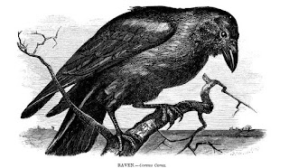 THE GRANDMA'S LOGBOOK-----: January 2020