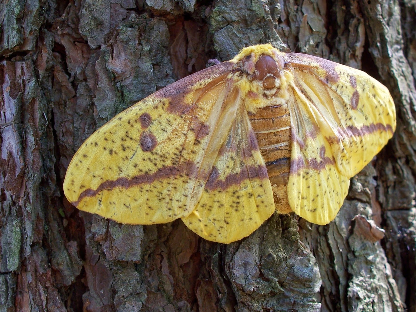 Ohio Wildlife Education Update