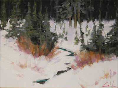 George Coll Daily Painter