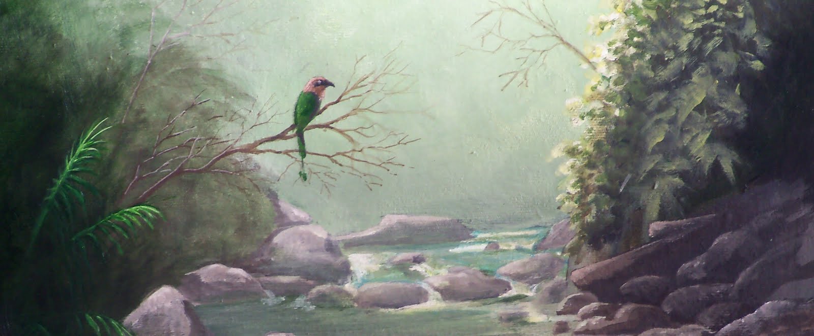 Jungle and Rainforest Art of Costa Rica: "Tropical MotMot Birds of ...
