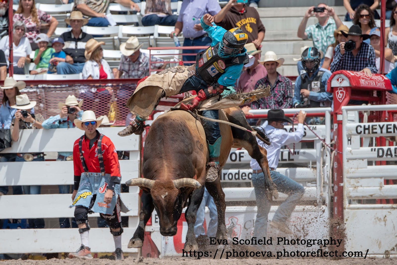 MIKE LEE World Champion PBR Bull Rider