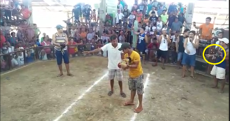 Hulaan mo kung sino ang panalo bago panoodin! (2 vs 1) - World Of Gamefowl Hulaan mo kung sino ang panalo bago panoodin! (2 vs 1) - World Of Gamefowl