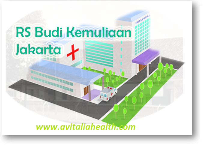 √ Jadwal Praktek Dokter RS Budi Kemuliaan Jakarta - Semua Spesialis √ Jadwal Praktek Dokter RS Budi Kemuliaan Jakarta - Semua Spesialis