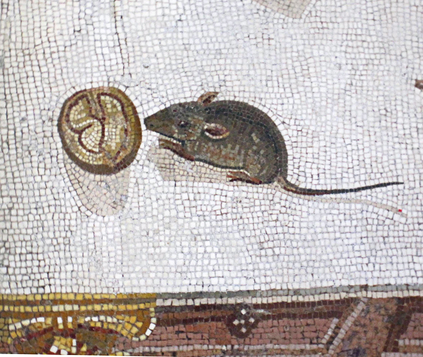 (what is this?): unswept and unwelcome