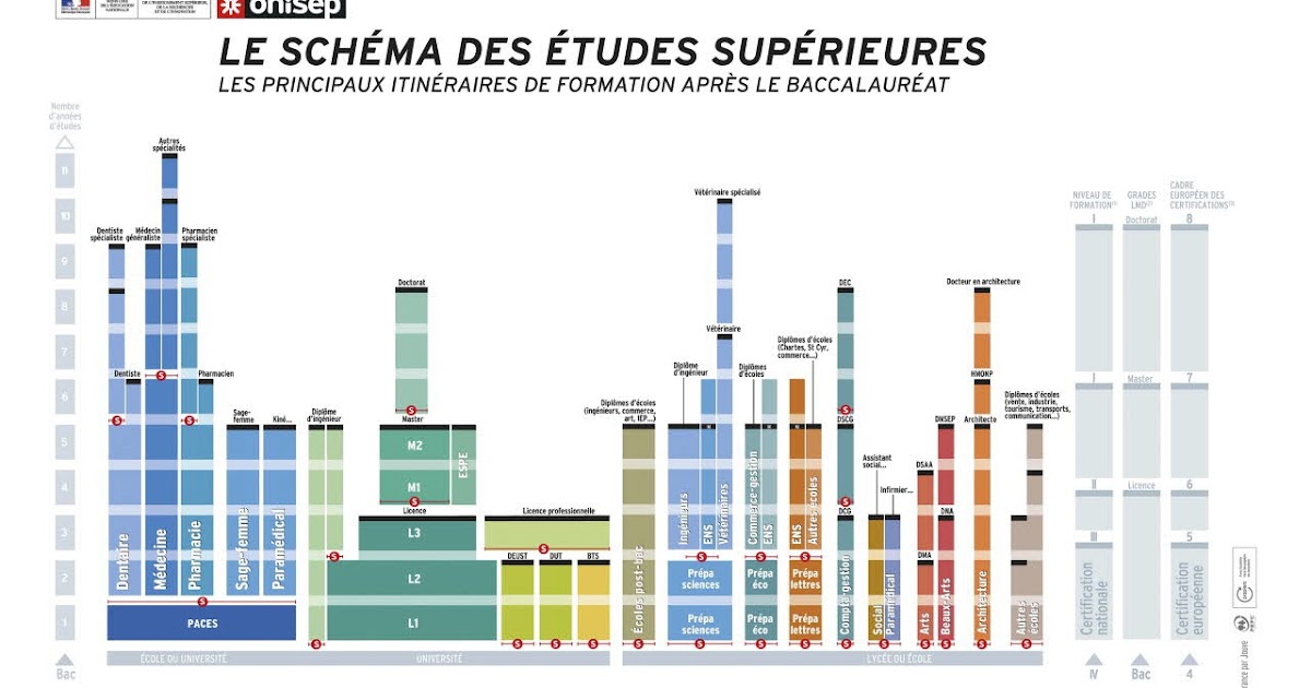 Étudiants-Mahorais: Le schéma des études après le bac