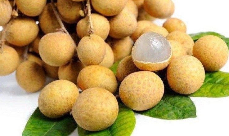laman impianku...: Manfaat Luar Biasa Buah Longan untuk Kesihatan Tubuh