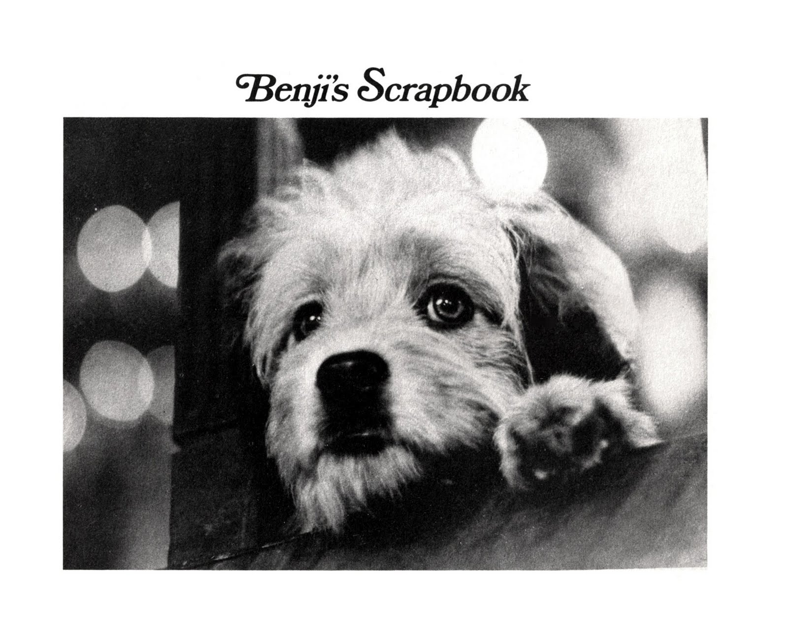 The Phenomenon of Benji - Cult Oddities