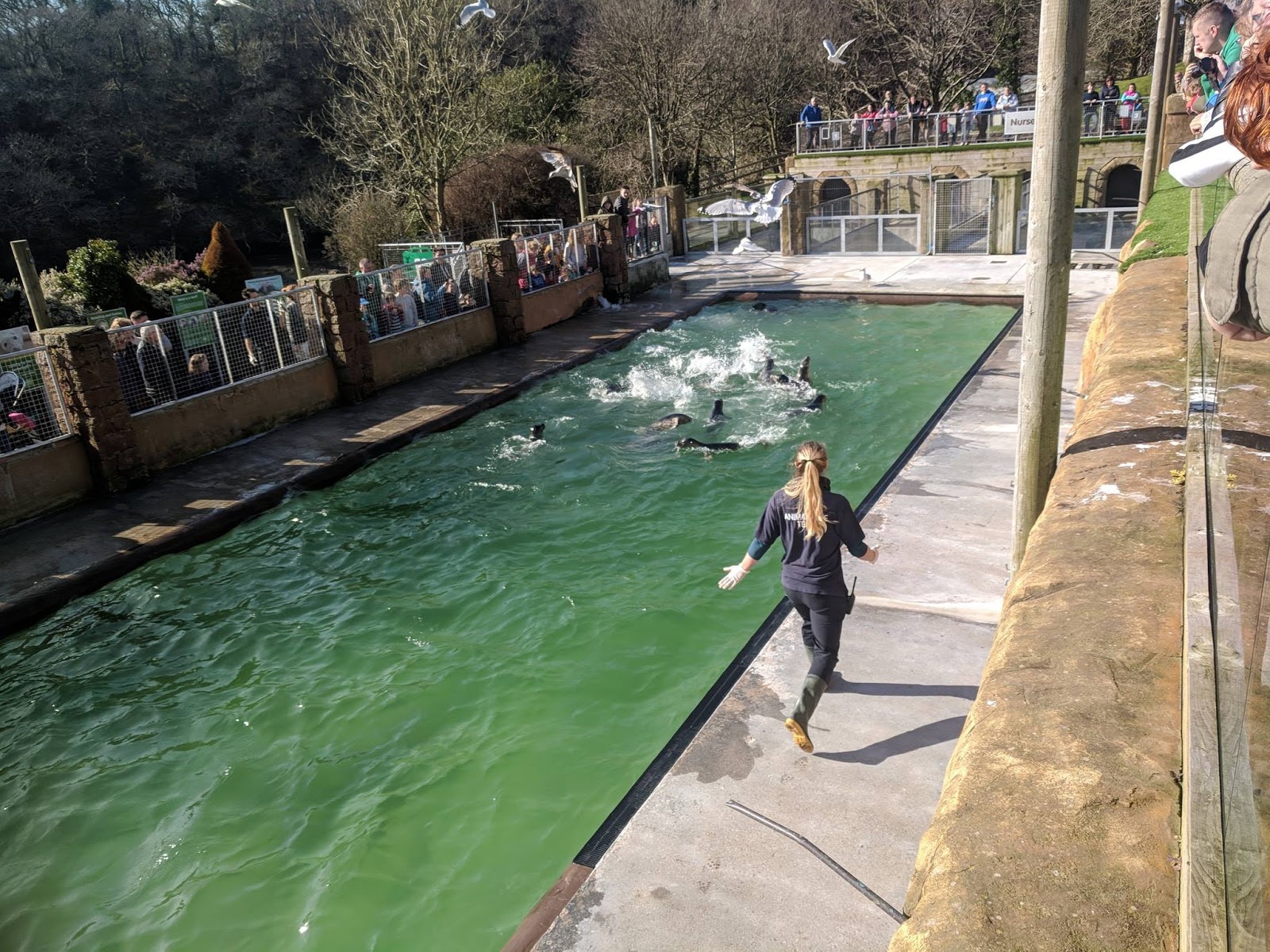 The Best Sea Life Aquariums in the UK | North East Family Fun