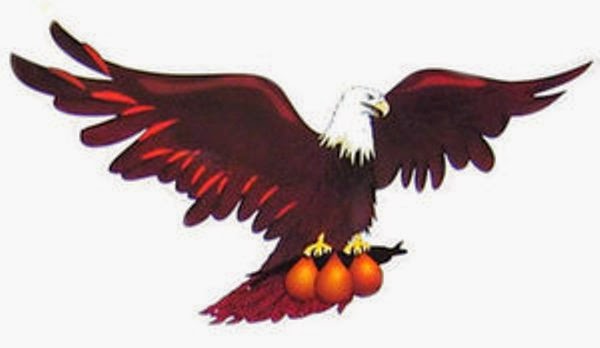 ELANG BONDOL DAN SALAK CONDET, MASKOT IBU KOTA YANG KIAN TERDESAK