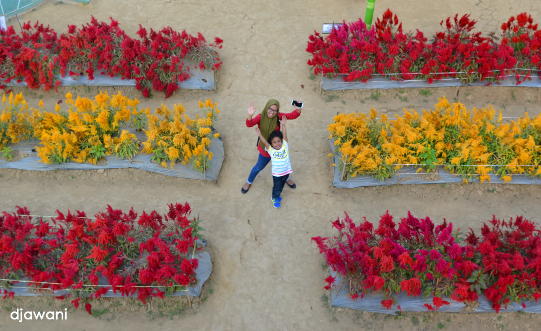 Taman Bunga Pagoda Kaliangkrik, Pagoda di lereng Gunung Sumbing