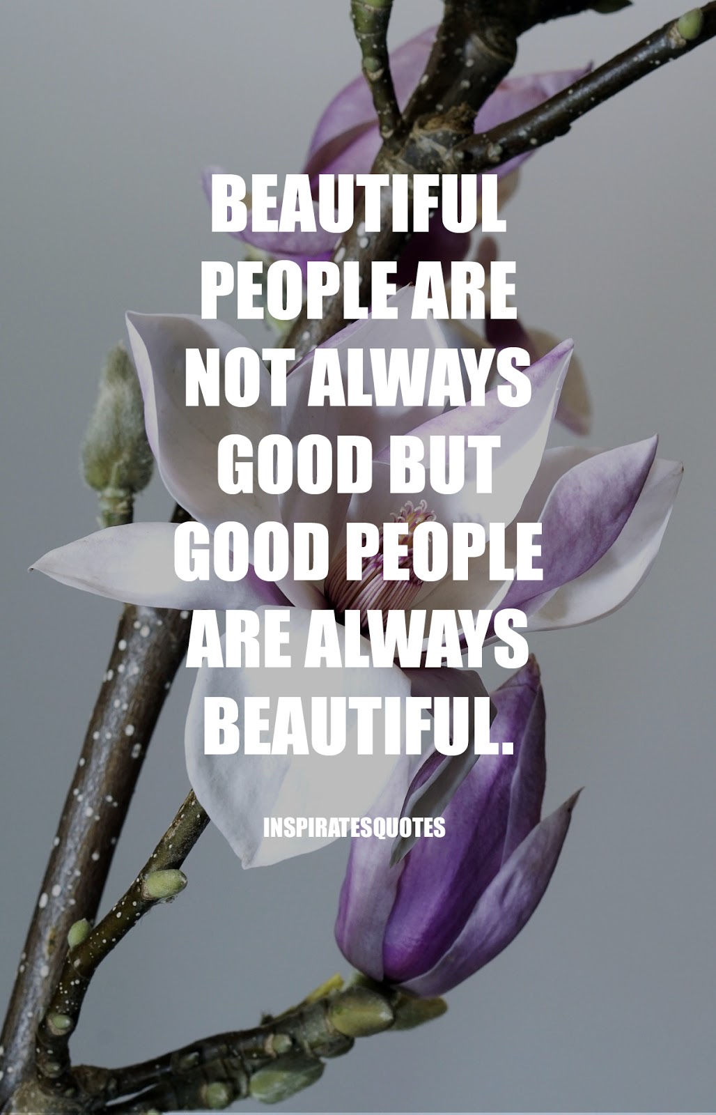 MOST BEAUTIFUL,MOTIVATIONAL AND INSPIRING QUOTES THAT CHANGE YOUR ...