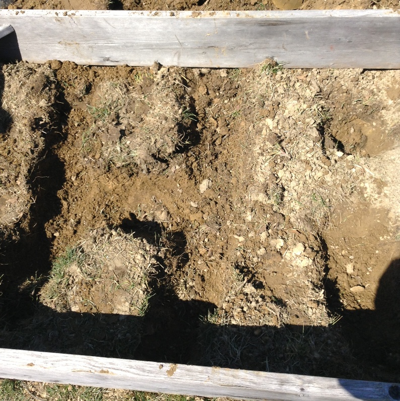 Common Ground Garden: Digging New Beds...