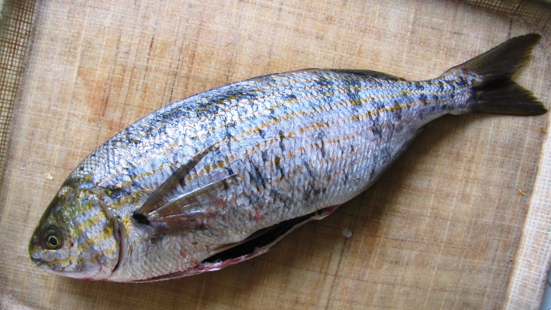 Obsédé Culinaire Notoire: Saupe aux poireaux et gingembre