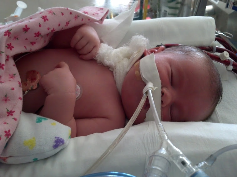 Baby Bee's Journey: Come on, kidneys.