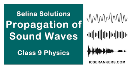 Selina Chapter 8 Propagation of Sound Waves Questions Answers Class 9 ...